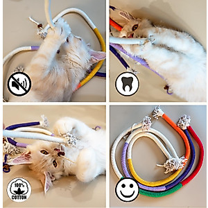 Petelligent 3-Pack Bent Cat Rope Toy, Pet Chew Toys, Interactive Tease Toys for Cats and Kittens, Bite-Proof Playthings, Cotton Rope Kitten Toys for Dental Care and Stress Relief, Pet Supplies