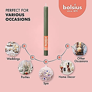 BOLSIUS 16 Fresh Olive Rustic Household Candles - 10.5 Inch - Premium European Quality - 13 Burn Hours - Natural Eco-Friendly Plant-Based Wax - Unscented Dripless & Smokeless Party Décor Candlesticks