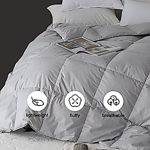 KASENTEX California King Size Down Comforters - All Season Down Comforter California King Size Down and Feather Filling - 100% Cotton Cover Duvet Insert - Stand-Alone Down Comforter, Light Grey