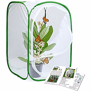 RESTCLOUD Insect and Butterfly Habitat Cage Terrarium Pop-up 23.6 Inches Tall