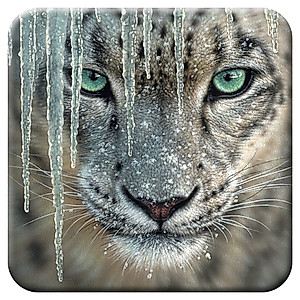 3D LiveLife Cork Coaster - Blue Ice from Deluxebase. Lenticular 3D Cork Snow Leopard Coaster. Non-slip drink Coaster with original artwork licensed from renowned artist, Collin Bogle