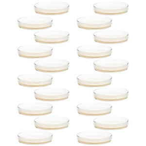 ULTECHNOVO Nutrient Agar Plates, Nutrient Agar Petri Dishes Science Project Kit, Pre-Poured Agar Plates for Students Science Fair Projects