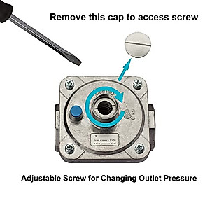 Adjustable Natural Gas Regulator for Gas Fire Pits, 3" to 5" WC (water column) Output, 1/2 PSI Input, 1/2" NPT, Designed for Outdoor Natural Gas Fire Pits, Fireplaces, and Grills