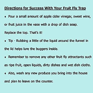 Fruit Fly Jar Trap - Decorative, Effective, Kid and Pet Friendly (Marbled Turquoise)