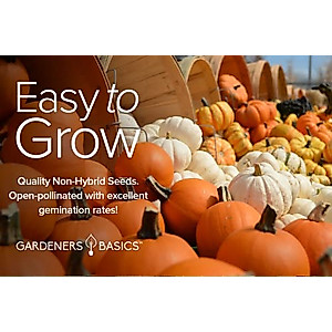 Pumpkin Seeds to Plant - 5 Variety Baby Boo, Giant Big Max, Jack Be Little, Jack O Lantern, Sugar Pie, Great for Pumpkin Seed for Summer, Fall, Pumpkin Seeds for Planting by Gardeners Basics