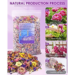 Bissap Natural Flower & Herb Hamster Bedding 300g/10.5oz, Small Animal Soft Flower Habitat Decor for Syrian Dwarf Hamster Gerbil Chinchilla Mice Degu and Other Small Pet Flower Bedding Odor Control