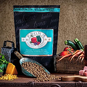 Fromm Four-Star Salmon Tunalini Dog Food, 26 Lb