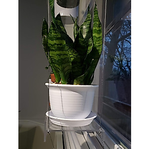 SUPREMETECH Hanging Acrylic Shelves for Windows (34" Wide, 1 Shelf - 26" Tall)