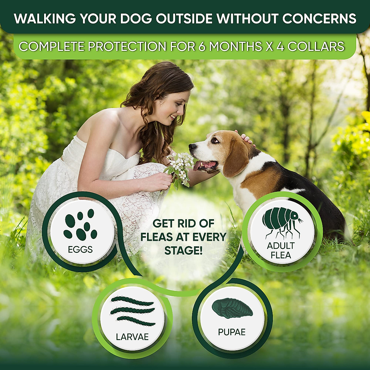 TriOak Flea Collar for Dogs: Advanced Dog Flea Collar - Tick Collar for Dogs - Flea and Tick Collar for Dogs - Dog Flea and Tick Collar - Dog Tick Collar, Color: Gray, 4 Pack