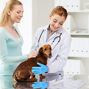 10 Set Artificial Insemination Dog Breeding Kit Canine Breeding Kit Insemination Breeder Kit Pet Supplies for Small Medium Breeds