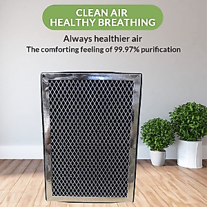 Homeland Goods 25 Replacement Filters Compatible with 25 B1/S1/W1 Air Purifier, 3-in-1 True Hepa and Activated Carbon Filter 4 Pack
