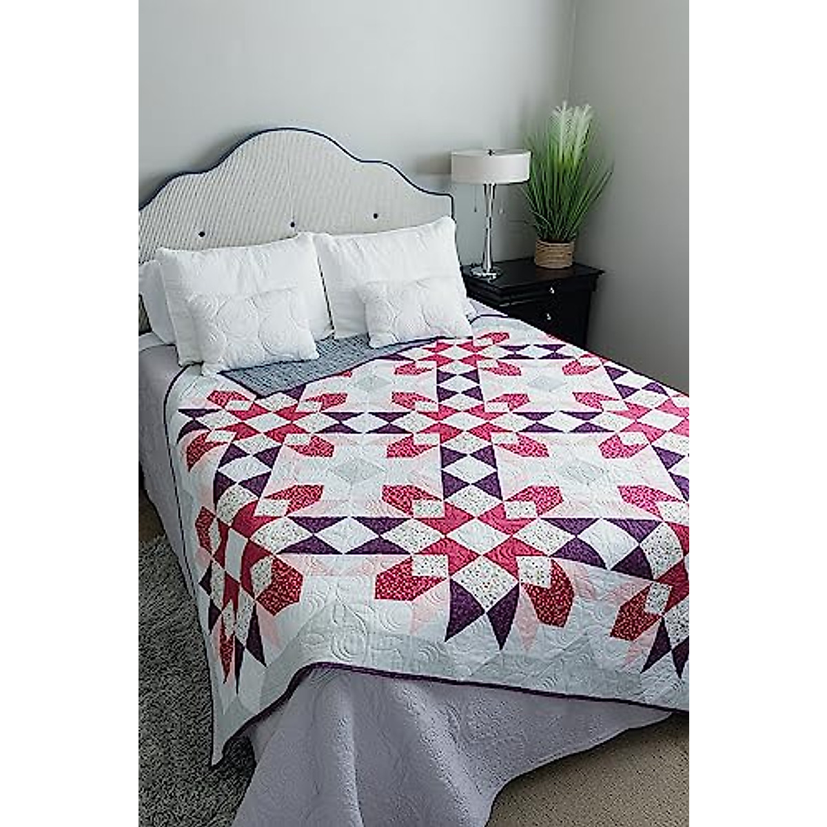 Barn Star Sampler: 20 Starry Blocks and 7 Spectacular Quilts
