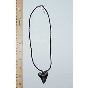Megalodon Tooth Necklace (Metal Replica) Giant Fossil Shark #167 2o