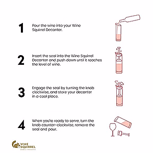 Wine Squirrel Wine Preserving Glass Decanter | Keeps Wine Fresh for Weeks | Air Tight Luxury Wine Saver Carafe | Best Wine Gift