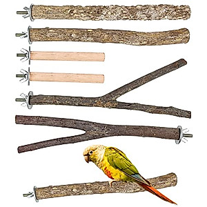 6 Pack Bird Perch, 3 Types Bird Stand Set Bird Cage Accessories Natural Wood Toy Perch Parrot Toys Natural Branch Standing Stick for Budgies Love Birds Finches Small and Medium-Sized Bird Toys