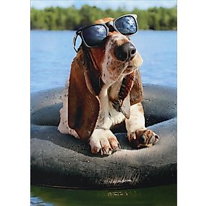 Basset Hound Wearing Sunglasses - Avanti Funny Dog Birthday Card