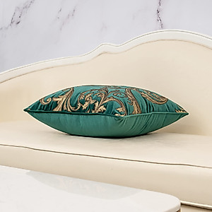 Alerfa 20 x 20 Inch Teal Luxury Velvet European Garden Style Floral Pattern Cushion Case Square Throw Pillow Cover Decorative Pillow for Couch Sofa Living Room Bedroom Car