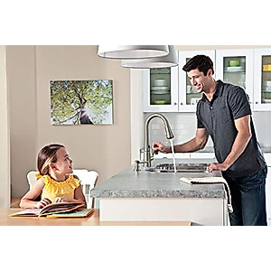 Moen 87359E2SRS Delaney One-Handle High Arc Pulldown Kitchen Faucet, Spot Resist Stainless