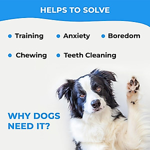 Stride Chew Toys for Puppy, 19 Pack, Dog Toys for Small Dogs & Puppies, Teething Dental Toys, Rope Toys, Plush, Squeaky & Treat Toys for Boredom, Great Value 19-Pack with Fun & Engaging Toys