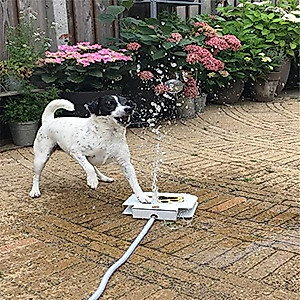 MATOP Dog Water Fountain Pet Waterer - Upgraded Outdoor Step-On Dog Water Dispenser Automatic Dog Waterer with 40" Hose for Dog Drinking Clean Fresh Cold Water Dog Fountain Outdoor Dog Water Toy