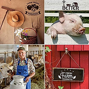 20 Pieces Farmhouse Stencils Reusable Farm Painting Stencils Farm Theme Drawing Art Template for Scrapbooking Drawing Tracing DIY Furniture Wall Floor Fabric Decors, 2 Sizes and 20 Patterns