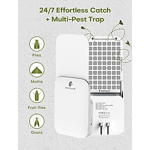 Kiwinurse Fruit Fly Traps for Indoors (2 Traps + 8 Glue Cards), Gnat Traps for House Indoor, Fly Traps Indoor for Home with Flying Insect Trap Refills