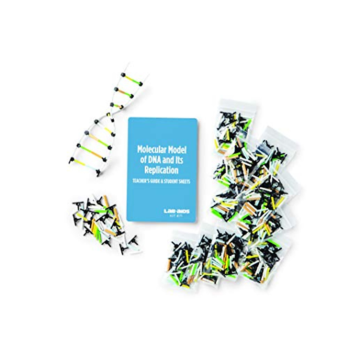 Lab-Aids Molecular Model of DNA and its Replication Kit 71
