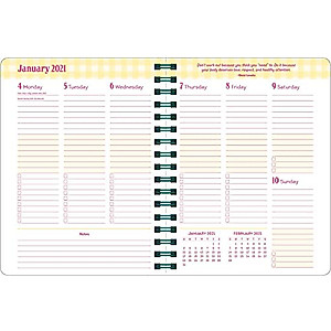 Posh: Deluxe Organizer 17-Month 2020-2021 Monthly/Weekly Planner Calendar: Lemondrops