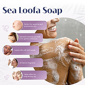 Baudelaire Exfoliating Soap, Sea Loofa Bath Soap & Body Soap, Natural Soap, Triple Milled with 100% Natural Fragrance, 2% Seaweed and Sustainable Palm Oil - 5 oz (COMES IN 6 PIECE BOX!)