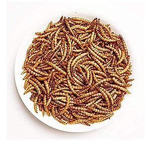 Amzey Dried Mealworms - 2 Pack 3.5OZ (7OZ Total) - High Protein Non GMO Mealworms - Great for Bearded Dragon, Birds, Fish, Lizard, Ducks, Chickens, Hamsters, Hedgehogs,Turtle Food, Reptile Food