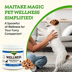 Animal Essentials Wellness Maitake Mushroom Supplement for Dogs & Cats - Healthy Immune Response, Supports Circulatory Function, Critical Immune Defense, Mushroom Powder Extract - 2.8 Oz (Pack of 1)