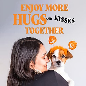 Three Dog Bakery Lick'n Crunch! Howl-o-ween Sandwich Cookies, Carob and Orange Pumpkin Spice Crème Flavor, Premium Treats for Dogs, 13 Ounces Each