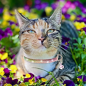 JVVGPET Breakaway Cat Collar with Bells - Rhinestone Bling Cute Cat Collars for Girl Boy Cats - Accessories for Pet Collars Adjustable for Cat Puppy