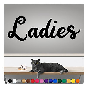 Transform Your Walls with Professional Grade, Outdoor Weatherproof Vinyl Stickers - Happy Sunday - UV Resistant, Made in The USA! Inspirational Words: Ladies: 14 Inch, Satin Silver