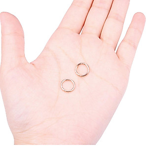 Hoeudjo Surgical Steel Hinged Clicker Segment Nose Rings Septum Clicker 16g 8mm Body Jewelry Lip Ear Piercing Earrings for Cartilage Helix Tragus Conch Daith Rook Lobe Snake Bite Women Men Rose Gold