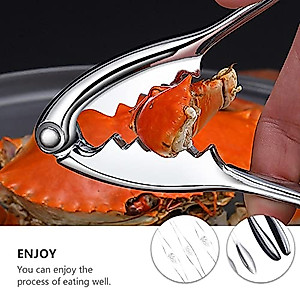 BESTonZON 1 set 5 pcs Crackers Picks Lobster Opener Nut Stainless for Forks Hard Silver Kit Crayfish Eating Shrimp Shell Peel Clamps Tools Seafood Accessories Nutcrackers Claw of and Crab,