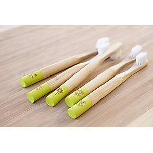 Rain Natural Bamboo Kids Toothbrush Set Fluoride-Free Baby Toothpaste Safe to Swallow with Vitamin C for 6 to 12 Months Up Infant Toddler Toothbrush BPA-Free Biodegradable (3 Toothbrush 3 Toothpaste)