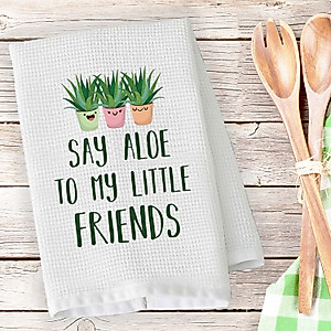 BDPWSS Plant Lover Gift Say Aloe to My Little Friends Dish Towel for Gardener Gift Succulent Plant Gift Crazy Plant Lady Gift (Say Aloe Friends TW)