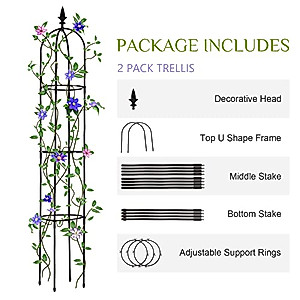 Lalahoni Garden Trellis for Climbing Plants Outdoor, 2 Pack 6ft Tall Plant Support Trellis for Potted Plants Climbing Vine Rose Clematis Outdoor Indoor Garden Obelisk Trellis, Lightweight, Black