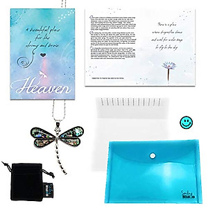 Smiling Wisdom - Heaven Dragonfly Story Greeting Card Gift Set - Abalone Dragonfly Necklace - Loss, Grief, Bereavement or Simple Explanation of Heaven and Earth - Child, Tween, Teen, Girl, Women