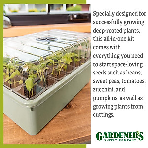 Gardener's Supply Company Deep Root Success | Self Watering Seed Starting Kit, 28-Cell Snap Apart for Easy Transplating | 4.75" Deep Cells, Growing Bin & Vented Humidity Dome