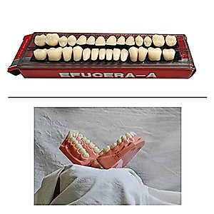 56 Pcs False Teeth Dental Complete Acrylic Resin Denture Teeth, 2 Set Whole Teeth Synthetic Polymer Denture Tooth, 23 Shade A2 Upper + Lower Dental Materials for Replacement, DIY, or Halloween
