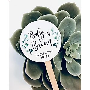 Succulent Favor Tags Baby Shower Thank you Tags on Stick Baby in Bloom - pack of 10