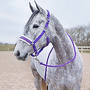 HORZE Howard Soft Cotton 6 Foot Horse Lead Rope with Snap Fastener - Purple - One Size
