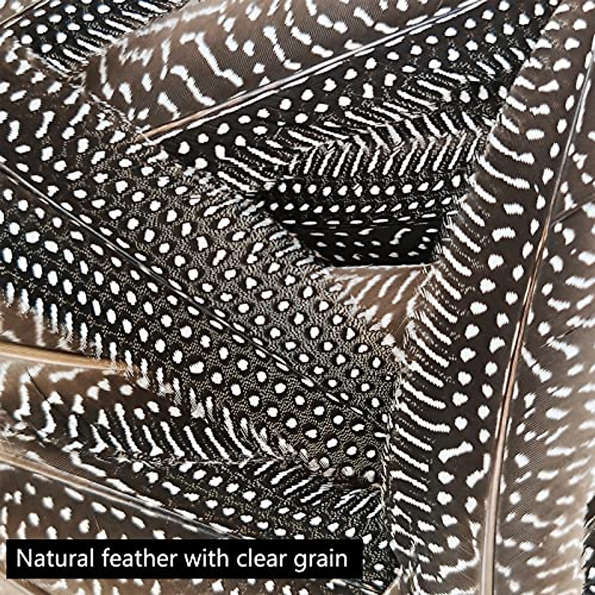 Natural Turkey Spotted Feathers, 30Pcs Pheasant Feathers Mardi Gras Feathers for Crafts DIY Hat Floral Arrangements Wing Quill Wedding Home Party Decorations 6-8 inch(3 Styles)
