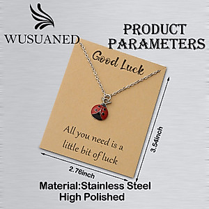 WUSUANED Good Luck Ladybug/Butterfly/Elephant Necklace Lucky Animal Charms Jewelry With Wish Cards Gift For Women(Ladybug necklace silver)