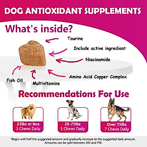 Cranberry Bladder Health for Dogs - Dog Antioxidant- 160 Cranberry Soft Chew Supplements for a Healthy Urinary Tract and Bladder Control – Made with Cranberry & D-Mannose & Vitamins (Chicken Flavor)