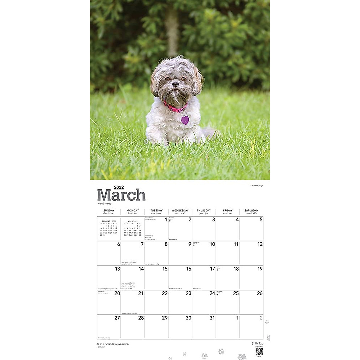 Shih Tzu 2022 12 x 12 Inch Monthly Square Wall Calendar with Foil Stamped Cover, Animals Small Dog Breeds DogDays