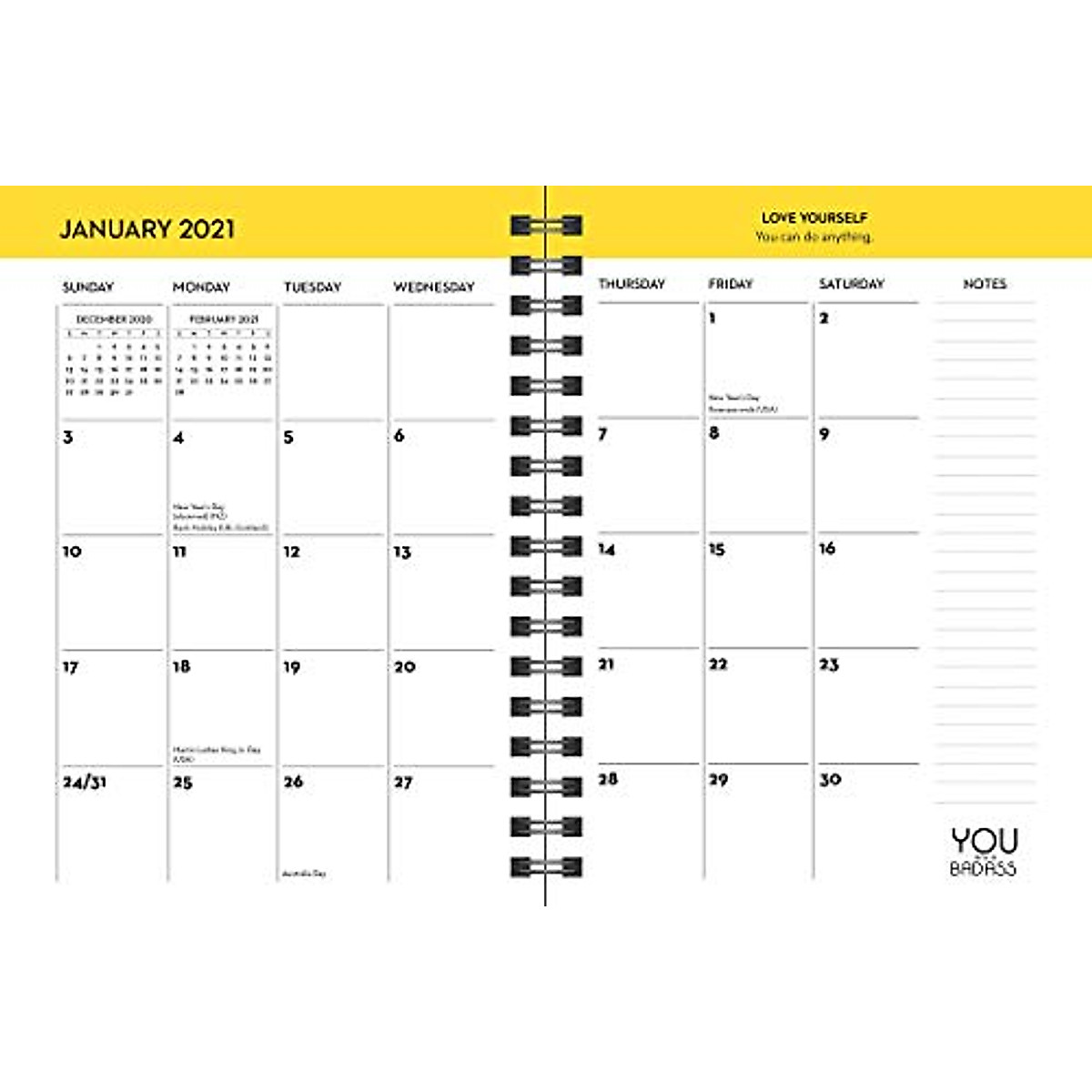 You Are a Badass 17-Month 2020-2021 Monthly/Weekly Planning Calendar: Deluxe Organizer (August 2020-December 2021)