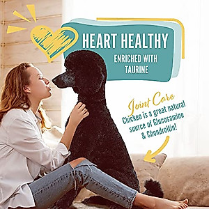 Earthborn Holistic Large Breed Dry Dog Food, 25 lb